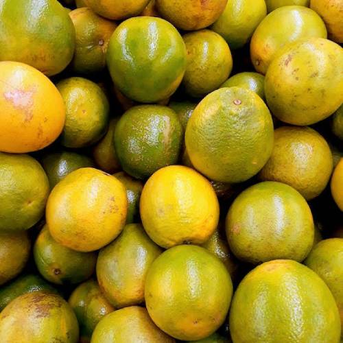 Pathayam.in - Online Grocery Shopping Trivandrum - Fruits, Vegetables ...