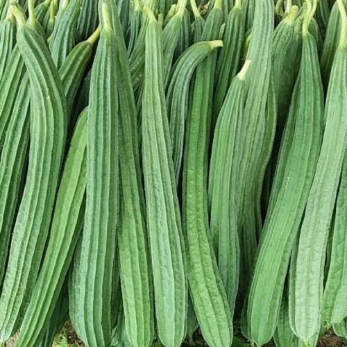 Pathayam.in - Online Grocery Shopping Trivandrum - Fruits, Vegetables ...